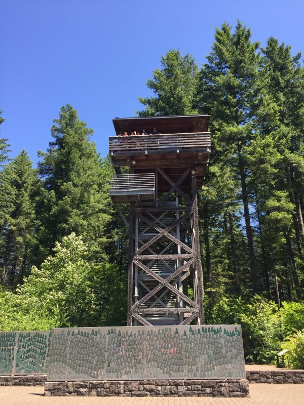 Rediscovering Oregon: Tillamook Forest Center – Unto Adoption